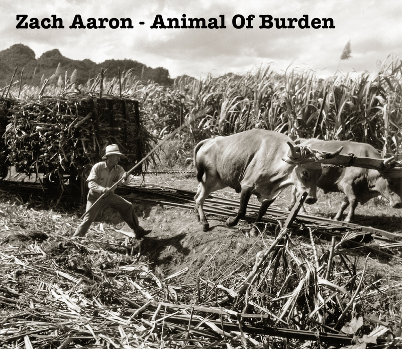 Zach Aaron - Animal Of Burden - Daily Play MPE®Daily Play MPE®